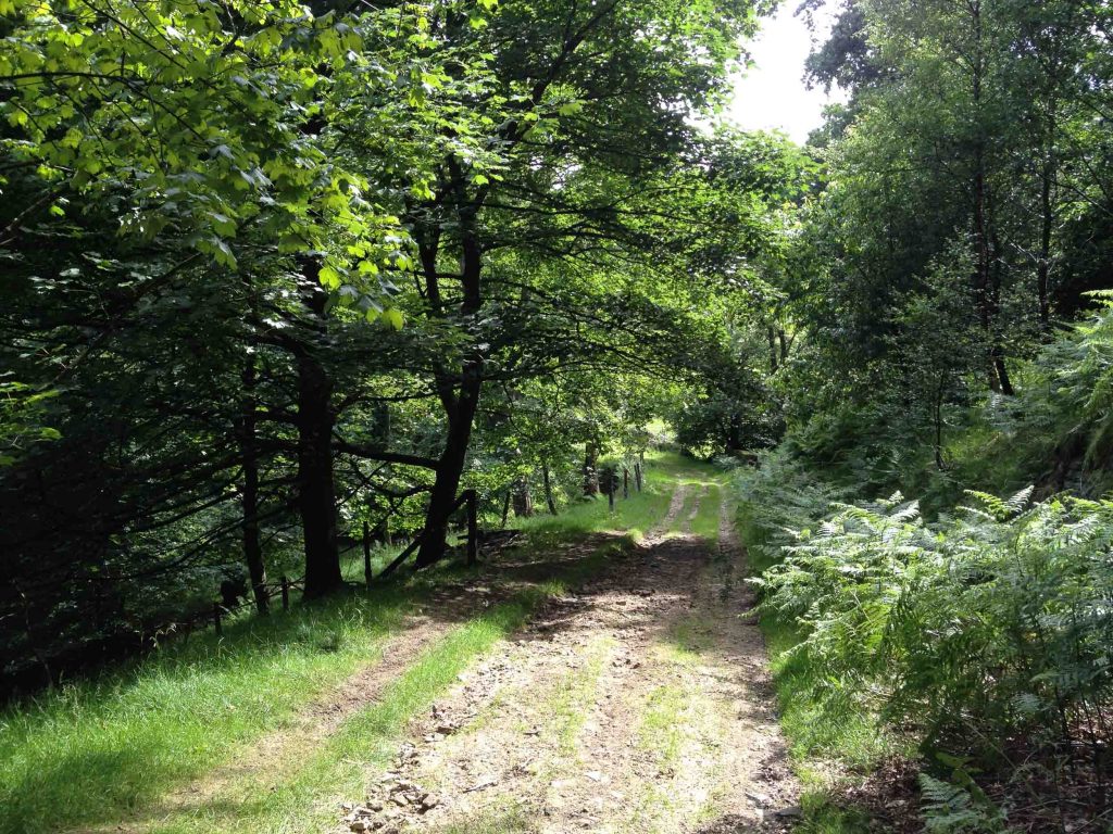 Castle Carr Luddenfoot West Yorkshire – J4S4.COM